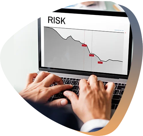 ERP Risk Management